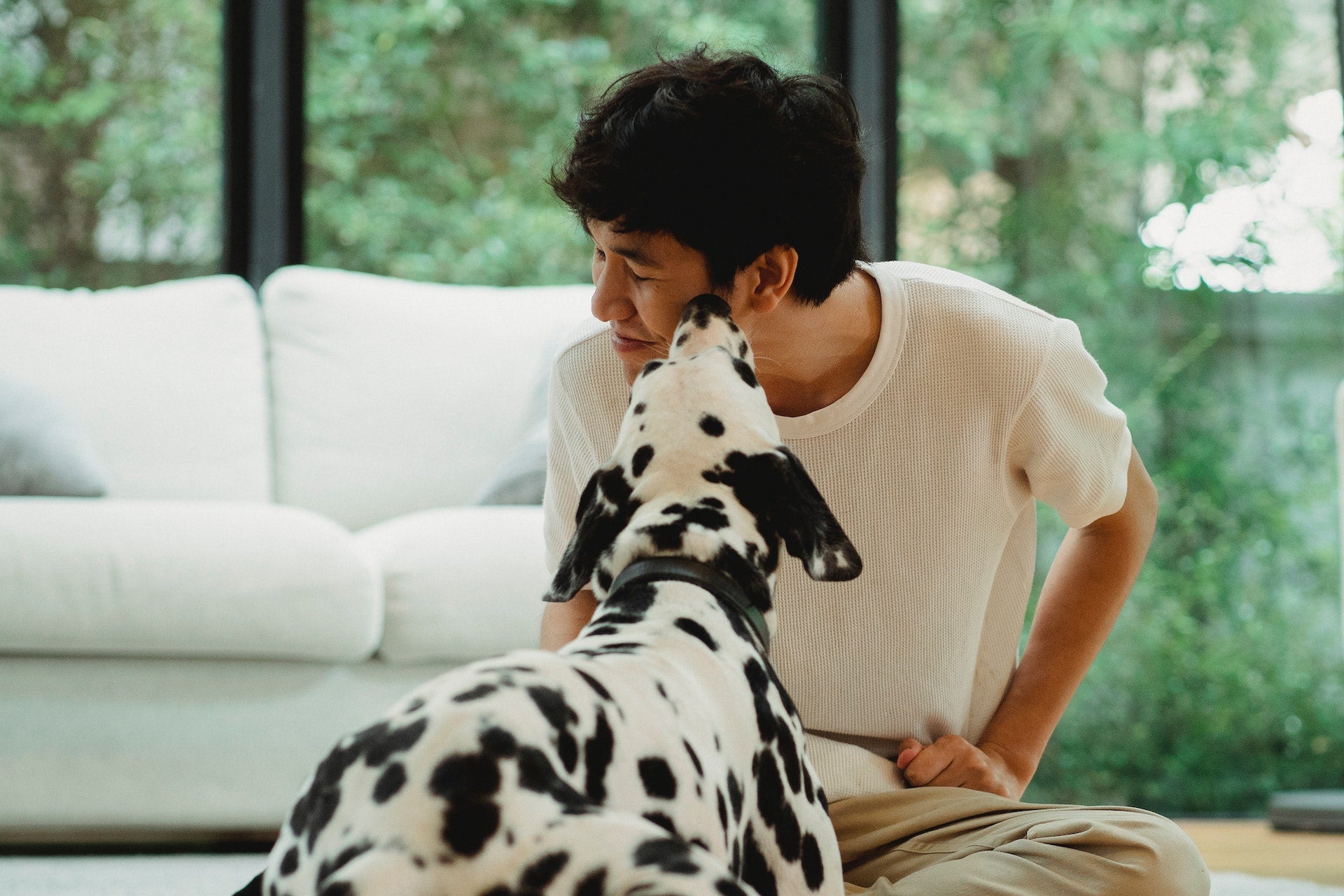 How to Get Rid of Stinky Dog & Cat Breath | Our Guide